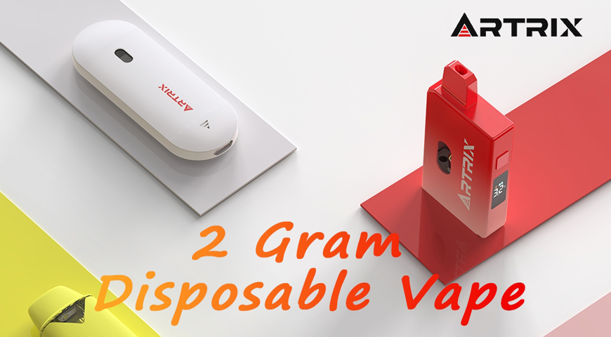 Exploring the 2g Disposable Vape Revolution in Cannabis